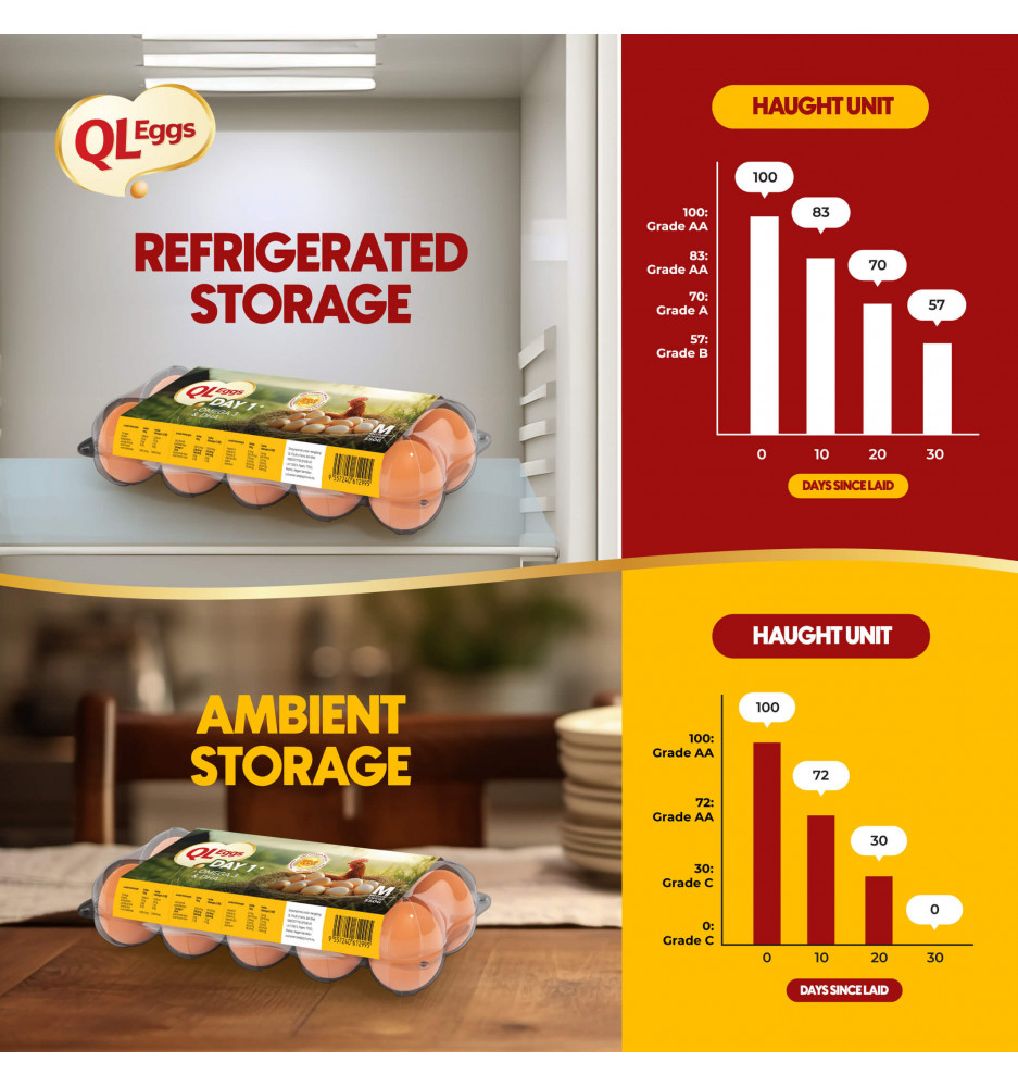 QL Eggs Day 1 Omega 3 & DHA – Fresh Eggs (20, 30, 40 pcs) Quantity 20pcs
